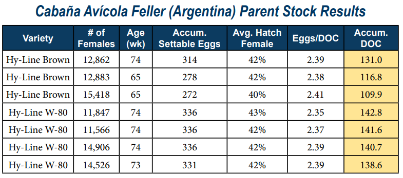 Outstanding performance of Hy-Line Brown and Hy-Line W-80 Parent Stock ...