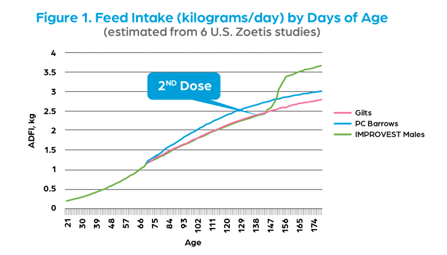 Nutritional specifications for pigs receiving IMPROVEST® | The Pig Site