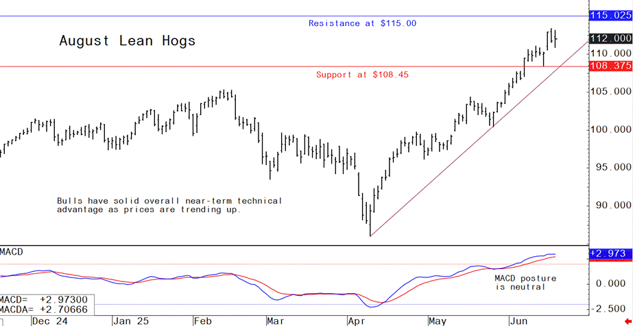 Pig outlook: Lean hog futures bulls remain in control | The Pig Site