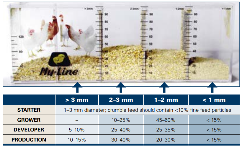 Feed granulometry and the importance of feed particle size in layers ...