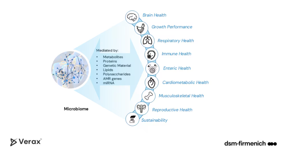 Case study: Microbiome insights that improve poultry performance | The ...